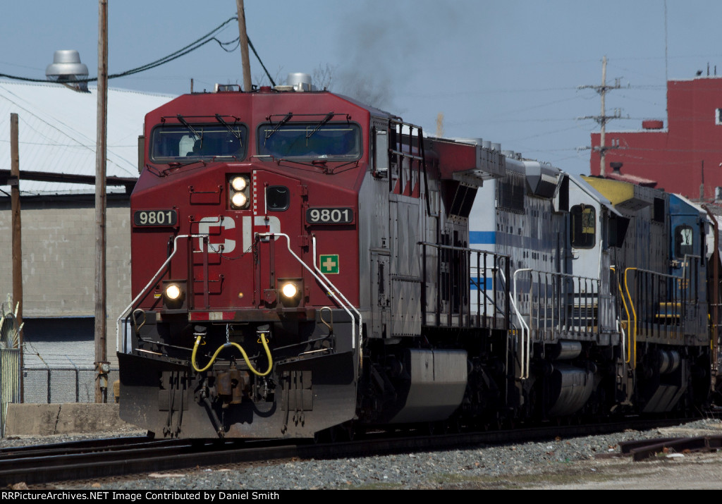 CP 9801 leads CSX Q501.